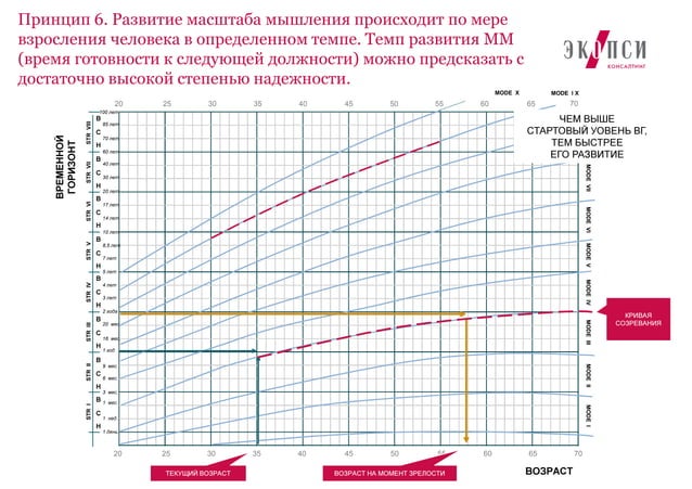 Requisite Organization. Обзор концепции. Практика ее использования для ...