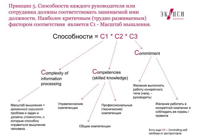 Requisite Organization. Обзор концепции. Практика ее использования для ...
