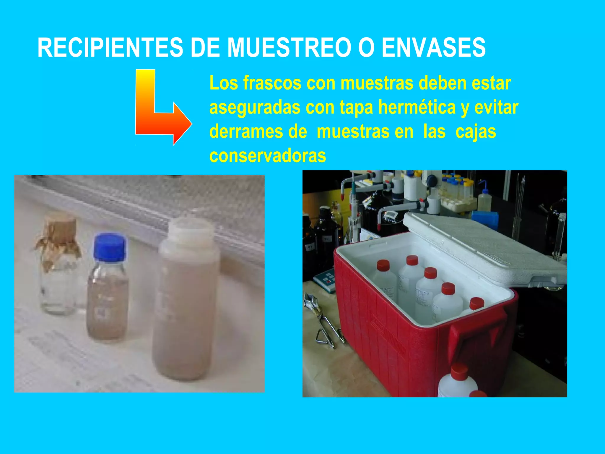 Requisitos para recepcion de muestras laboratorio desa junin | PPT