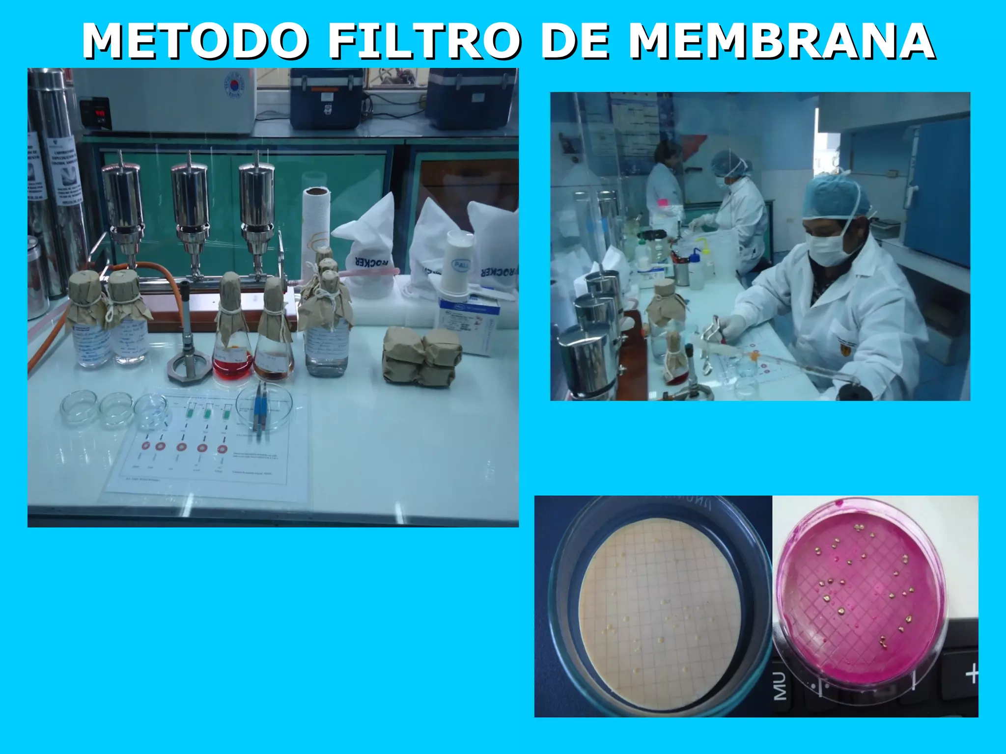 Requisitos para recepcion de muestras laboratorio desa junin | PPT