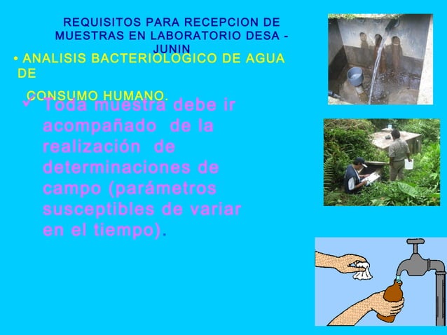 Requisitos para recepcion de muestras laboratorio desa junin | PPT
