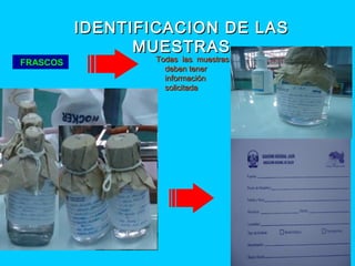 Requisitos para recepcion de muestras laboratorio desa junin | PPT