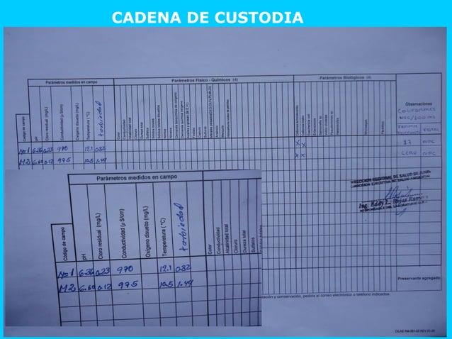 Requisitos para recepcion de muestras laboratorio desa junin | PPT
