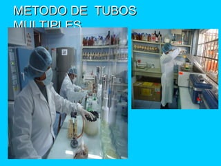 Requisitos para recepcion de muestras laboratorio desa junin | PPT