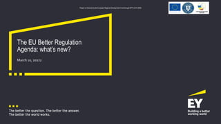 Better regulation agenda and instruments in the European Commission | PPTX