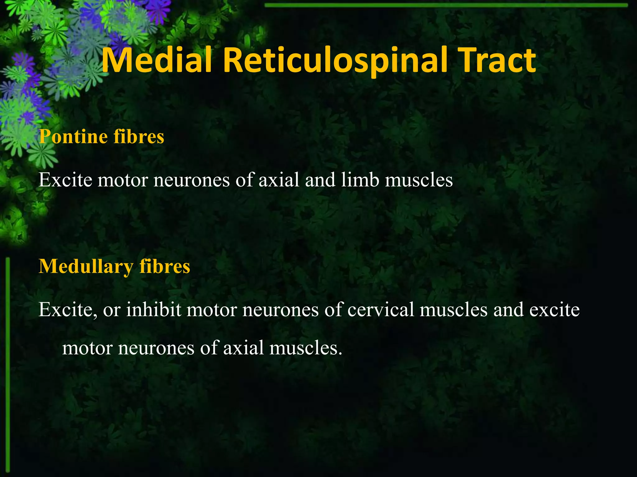 Reticular activating system | PPTX