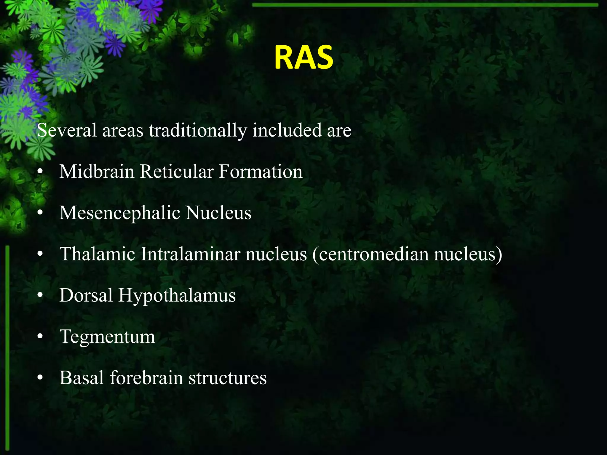 Reticular activating system | PPTX