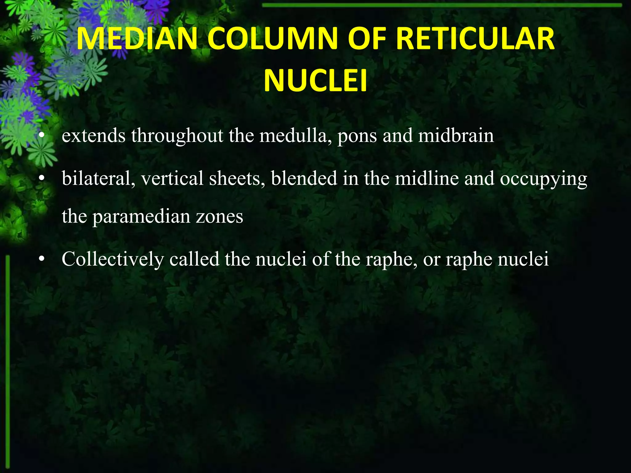 Reticular activating system | PPTX