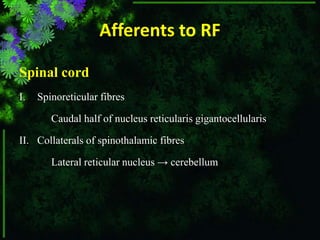 Reticular activating system | PPTX
