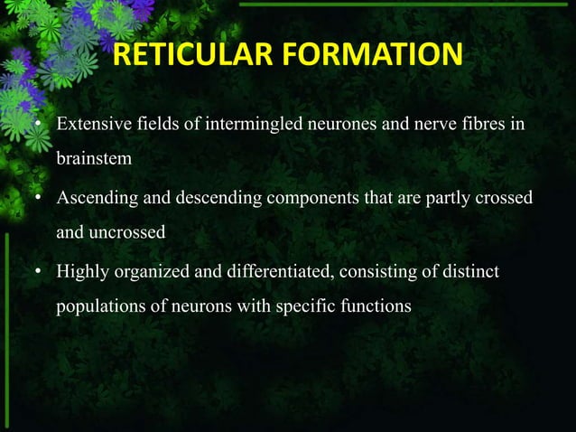 Reticular activating system | PPTX