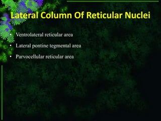 Reticular activating system | PPTX