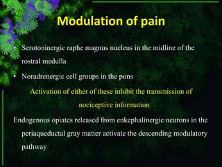 Descending Reticular Activating System