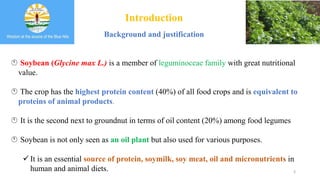a study on soyabean | PPT