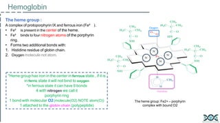 RESPIRATORY BIOCHEMISTRY HEMOGLOBIN AND MYOGLOBIN | PDF