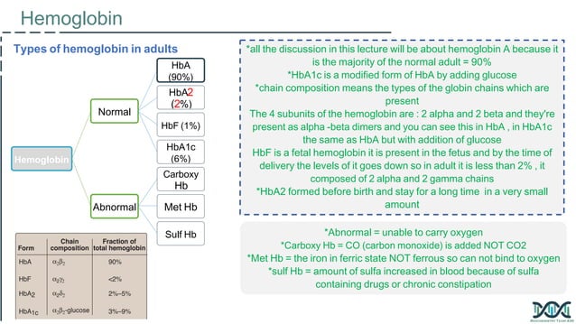 RESPIRATORY BIOCHEMISTRY HEMOGLOBIN AND MYOGLOBIN | PDF | Blood Disorders | Diseases and Conditions