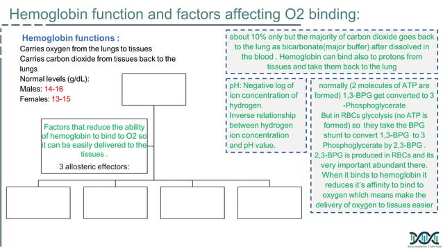 RESPIRATORY BIOCHEMISTRY HEMOGLOBIN AND MYOGLOBIN | PDF | Blood Disorders | Diseases and Conditions