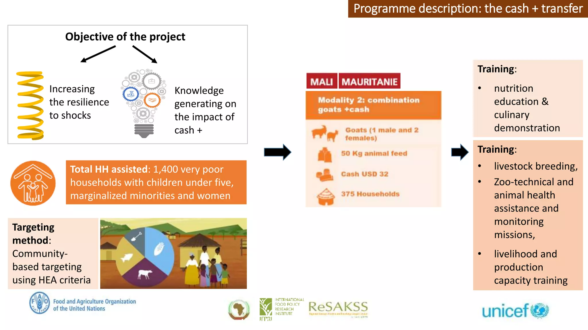 Maximizing the impacts of social protection: the “Cash Plus” approach ...