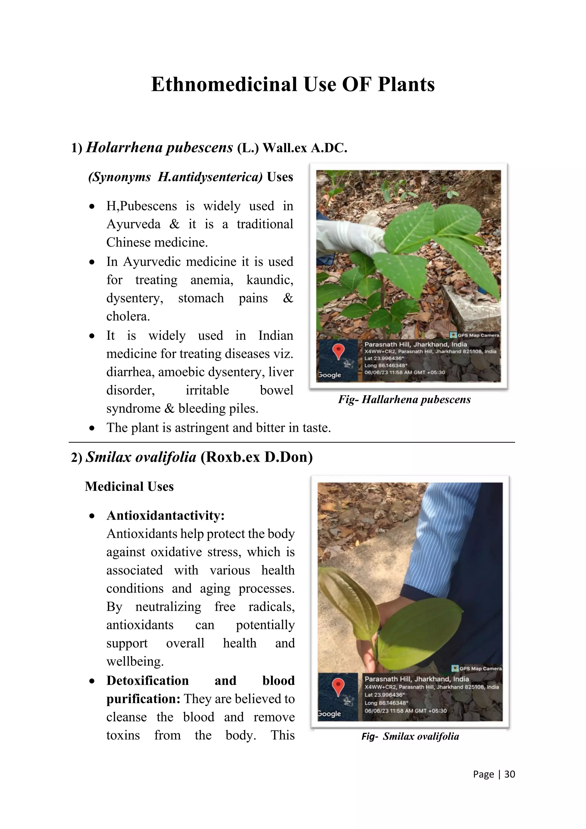 Resarch/Dissertation File on Ethnomedicinal Medicinal Survey of Plant. | PDF