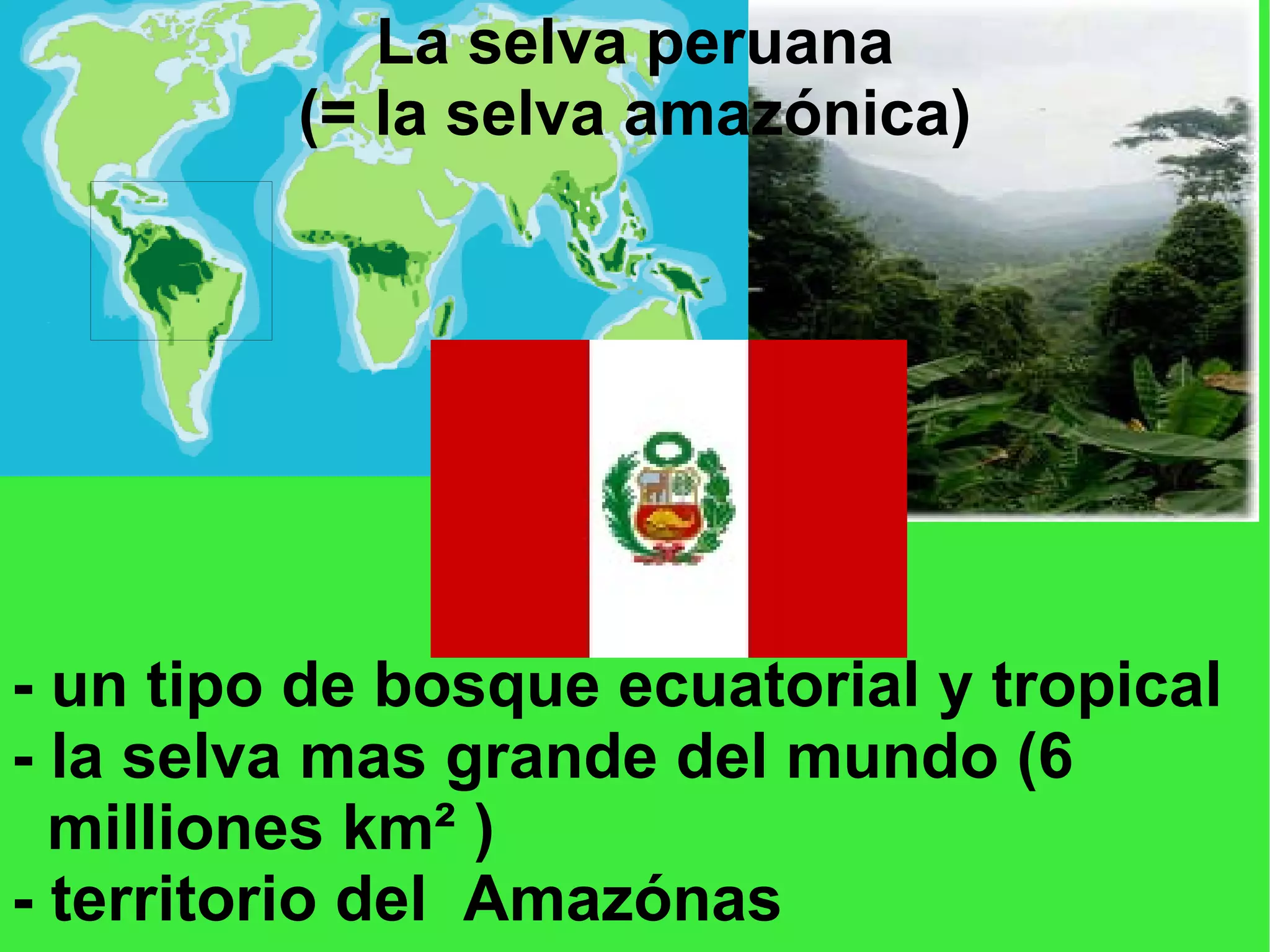 Selva peruana | ODP | South America Travel | Travel Locations