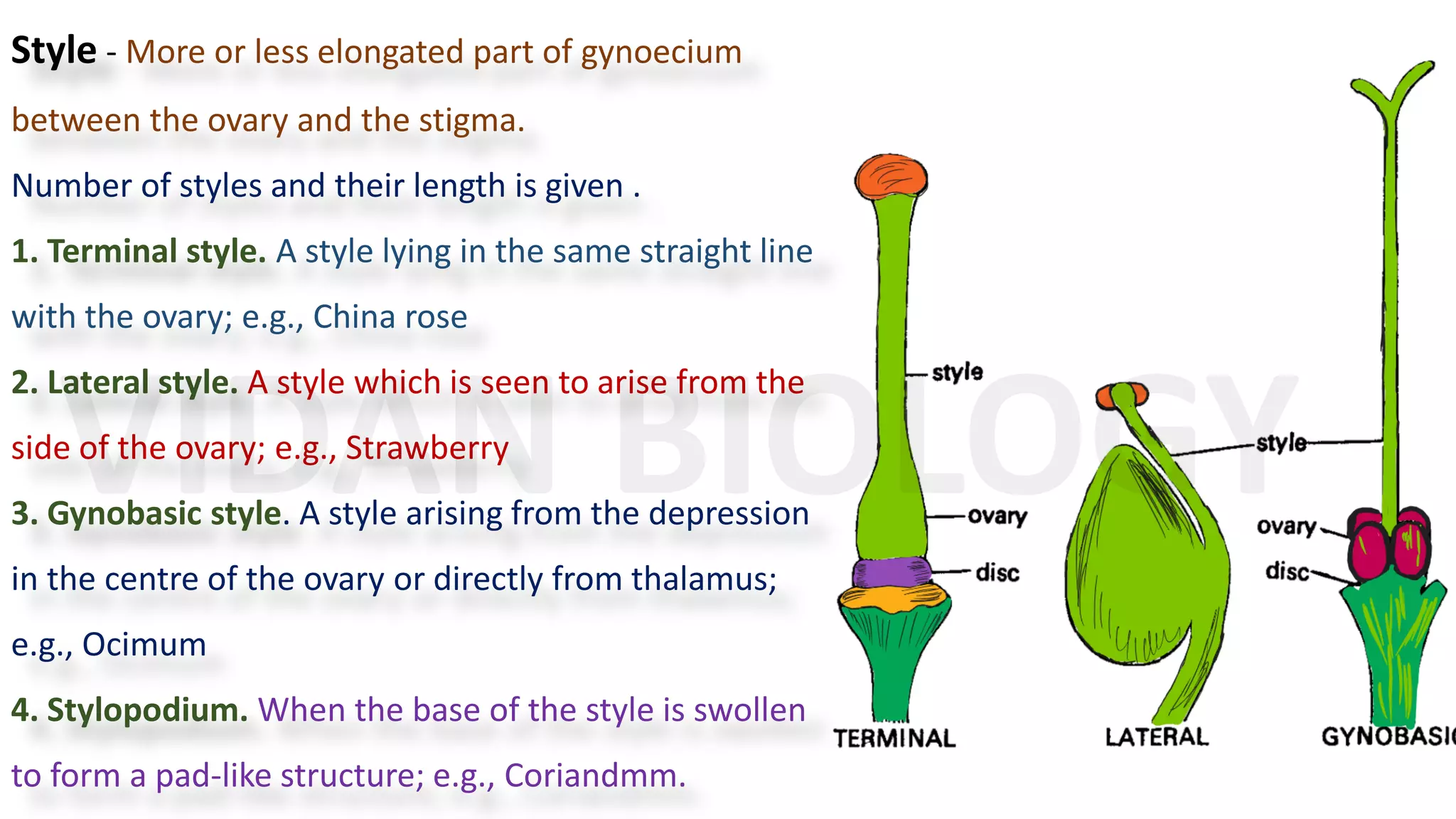 Terminology of plant Taxonomy.pdf