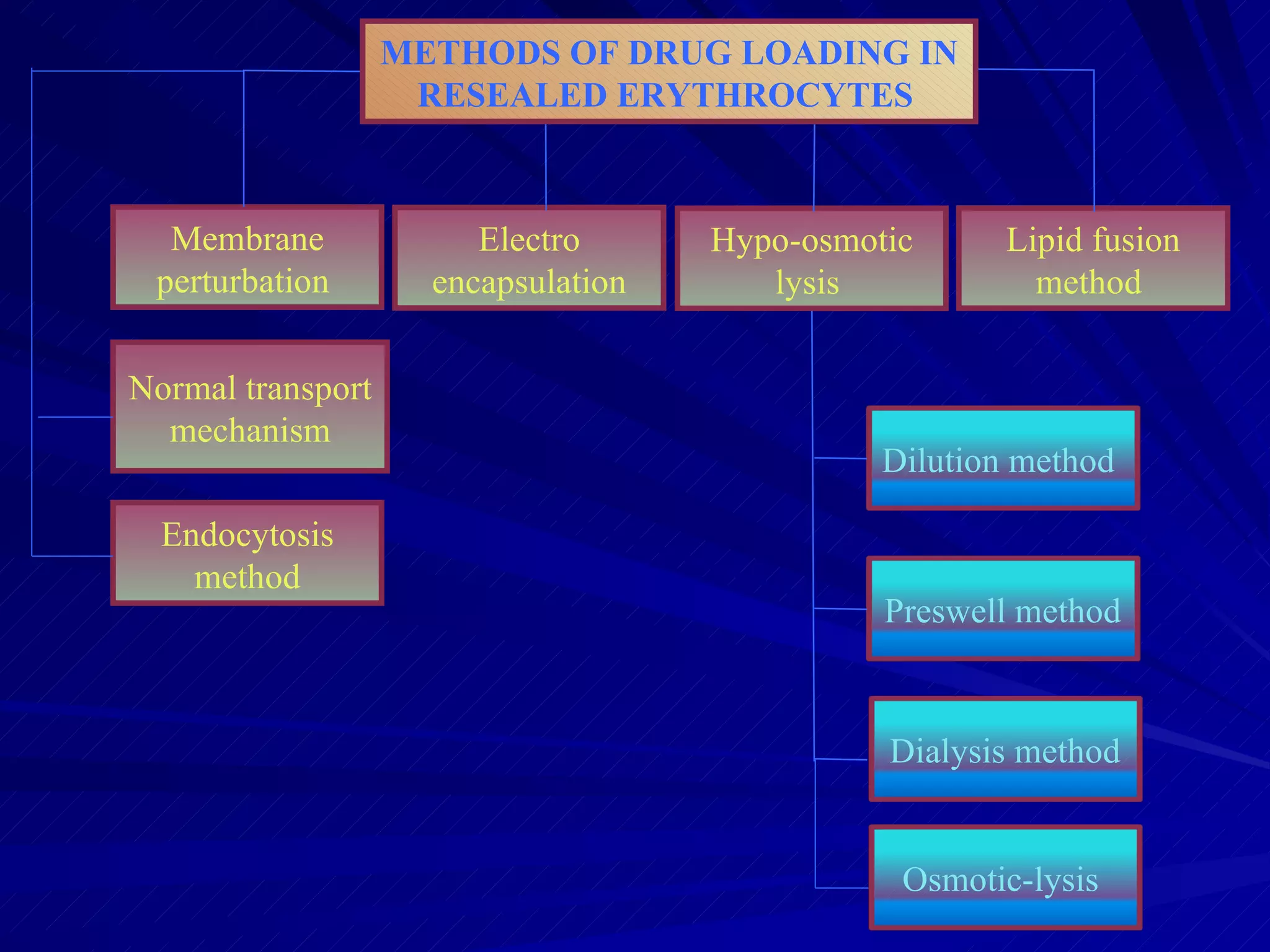 Resealed erythrocytes | PPT