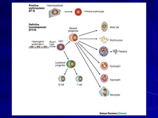 Resealed erythrocytes | PPT