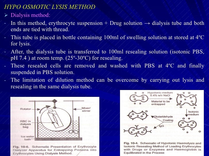 Resealed erythrocytes