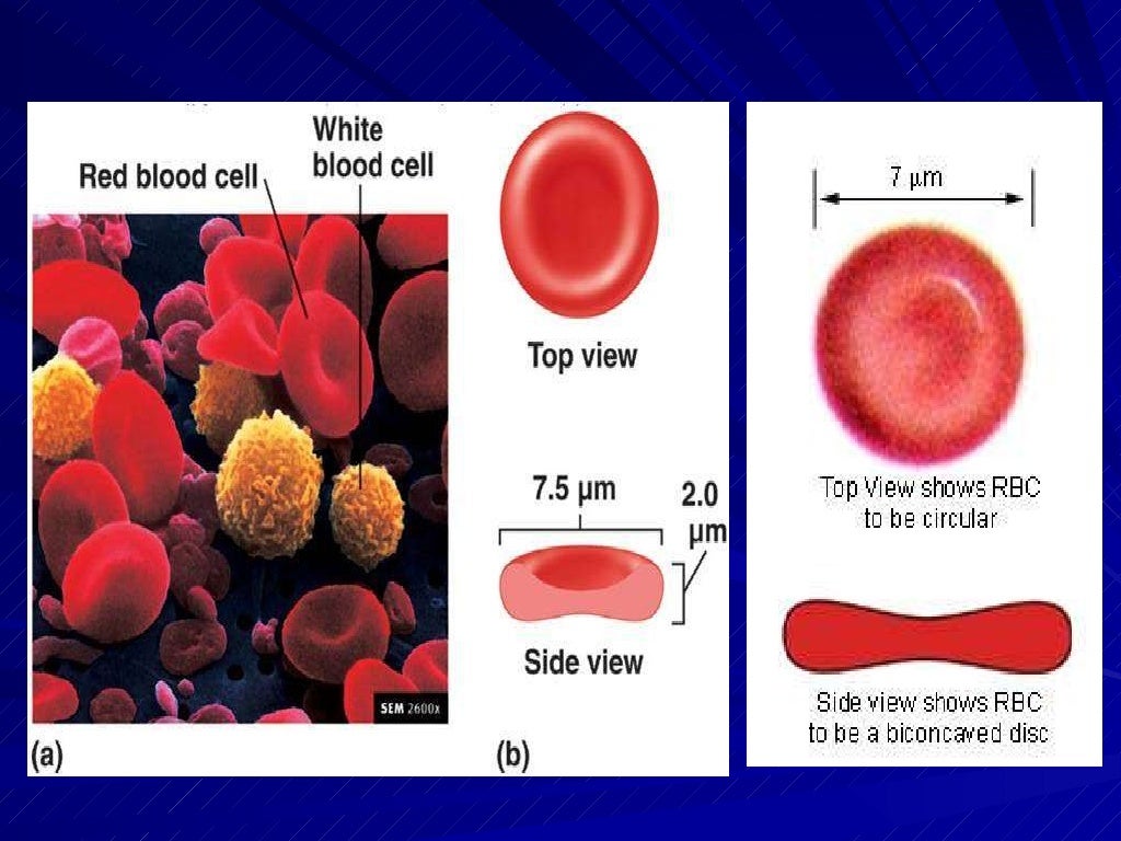 Resealed erythrocytes