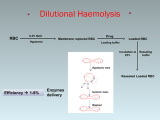Resealed erythrocytes | PPT