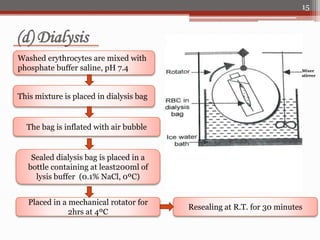 Resealed erythrocytes | PPTX