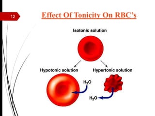 Resealed erythrocytes | PPT