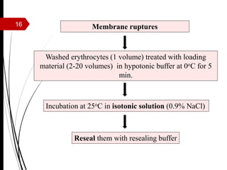 Resealed erythrocytes | PPTX