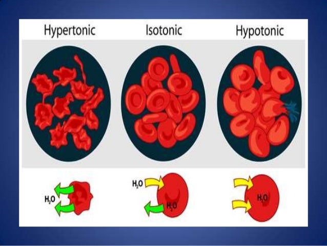 Resealed erythrocytes by sonam