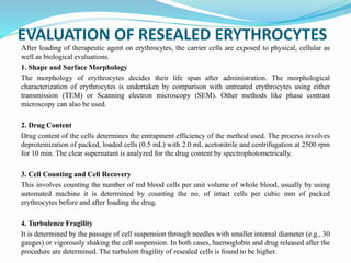 Resealed erythrocytes in drug delivery | PPT