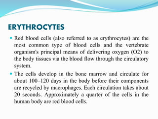 Resealed erythrocytes in drug delivery | PPT