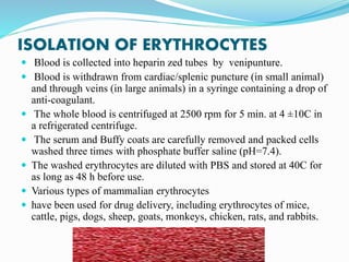 Resealed erythrocytes in drug delivery | PPT