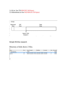 Digital Forensics Using (Winhex) Analysis | PDF