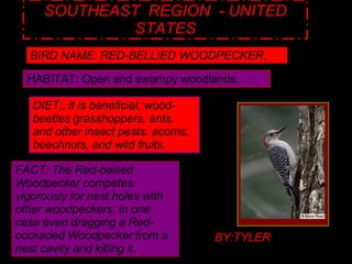 Tyler\'s Cards | PPT