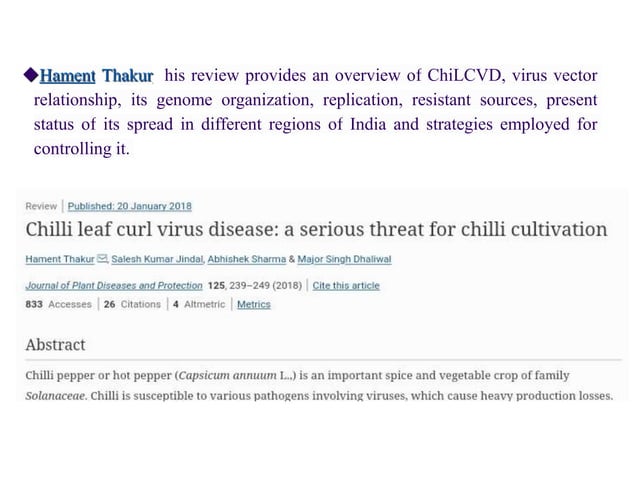 RESEARCH -WPS Office.pptx