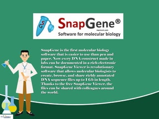 Researchers' great helpers in molecular biology experiments | PPT ...