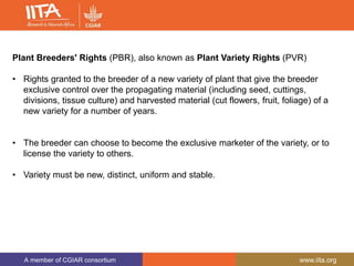 Ethics of research with special Emphasis on Plant Breeding | PPTX