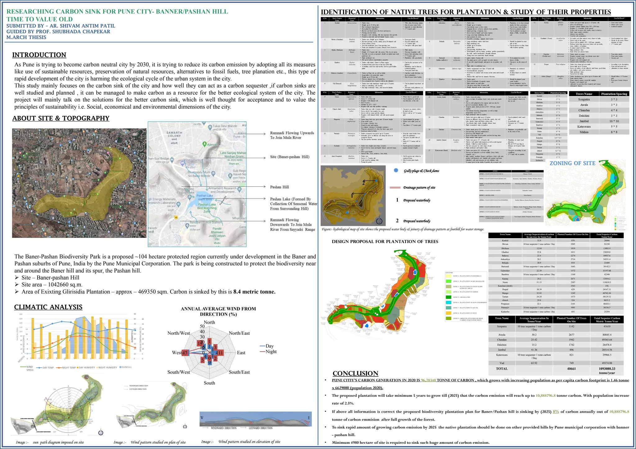 Researching carbon sink for pune baneer pashan | PDF