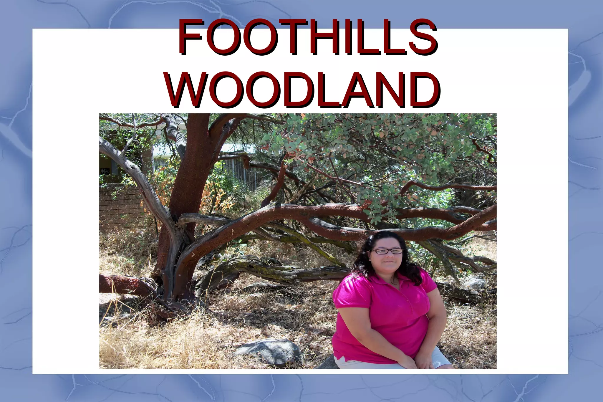 Research lab project | ODP