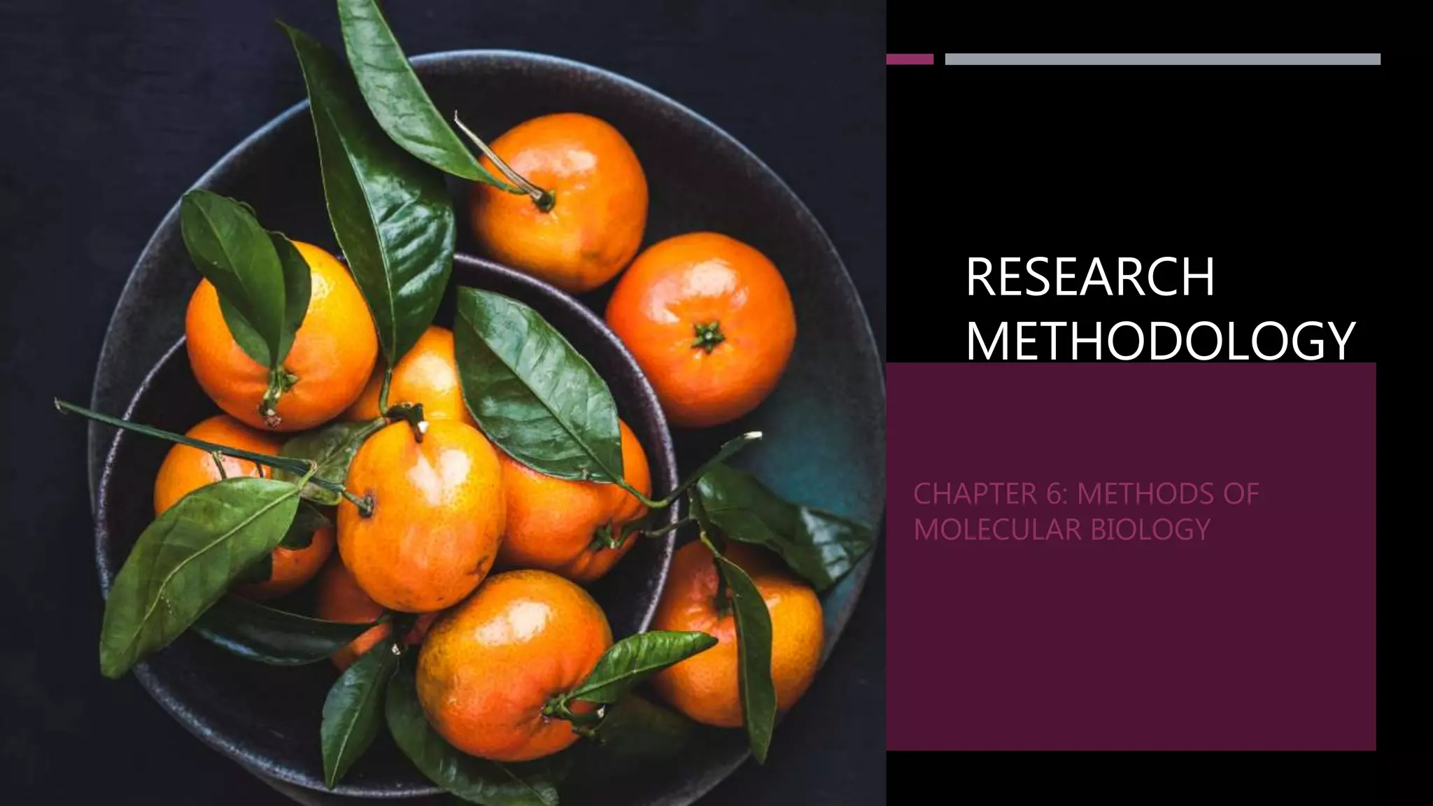 Research methodology Chapter 6 summary | PPT
