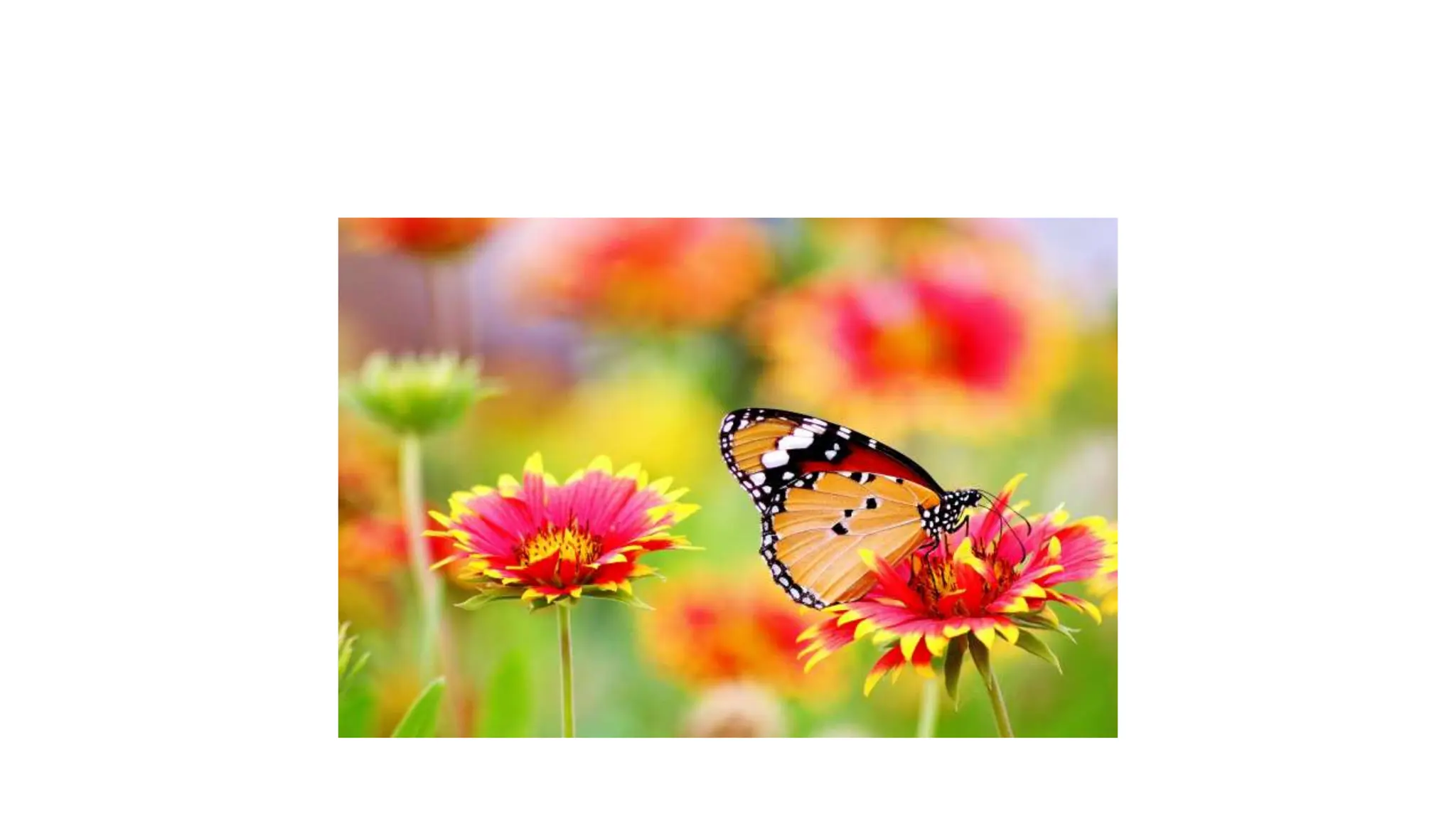 Research Methodology, Objectives, Types and Significance of Research | PPTX