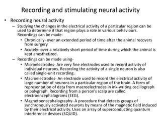 Research Methods.pptx