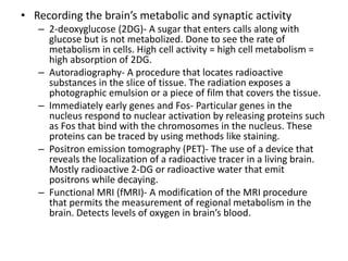 Research Methods.pptx