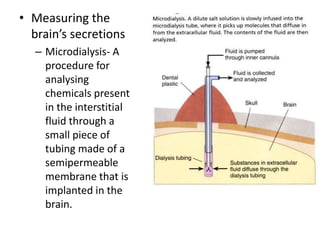 Research Methods.pptx