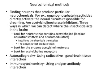 Research Methods.pptx