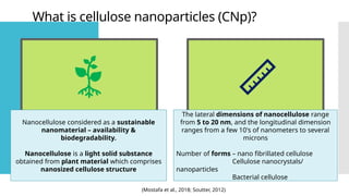 Cellulose Nanoparticles for Food packaging materials | PPTX